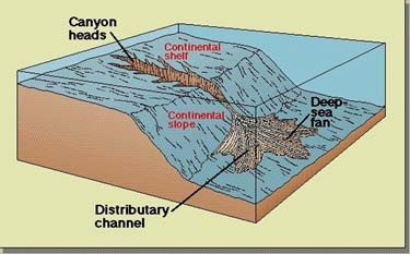 Continental Rise Diagram
